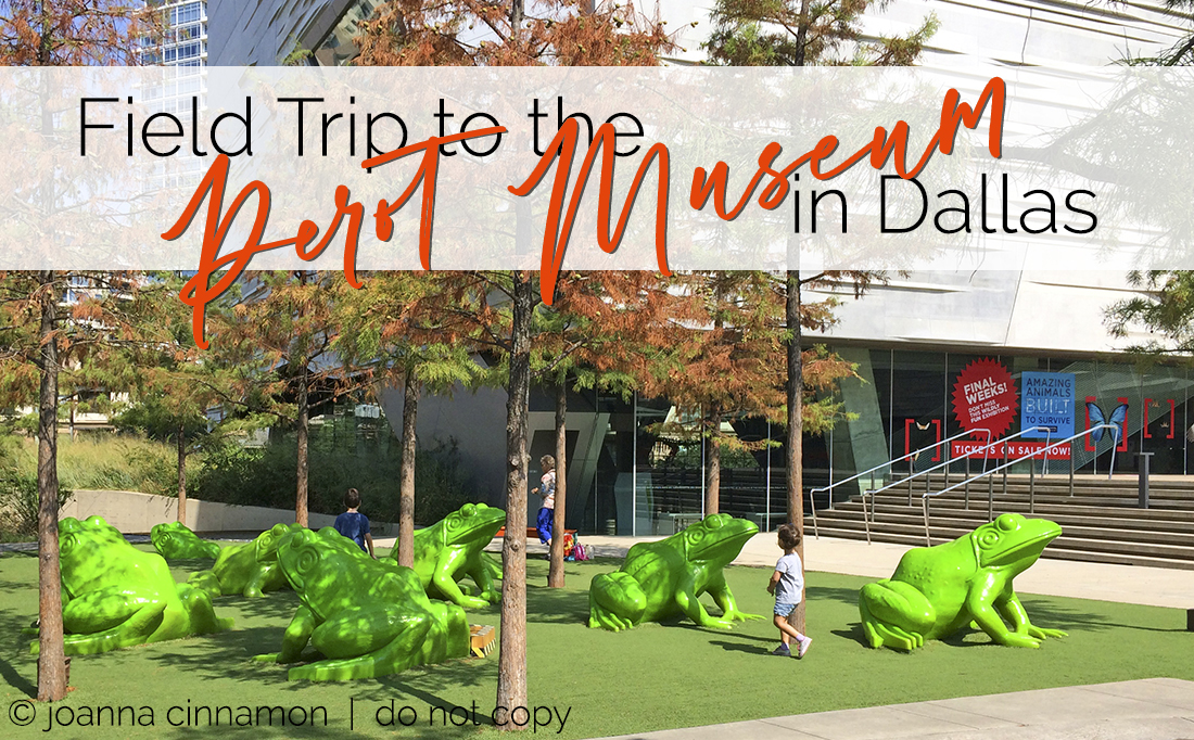 Field Trip to the Perot Museum in Dallas - Joanna Cinnamon